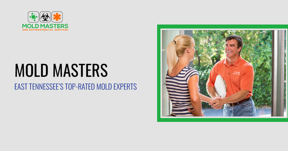 Knoxville Mold Removal | Mold Masters